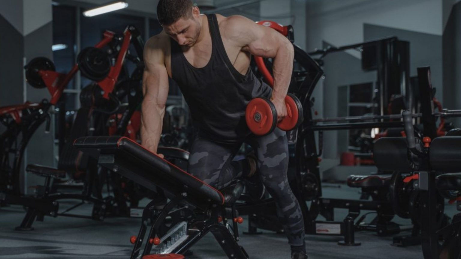 10 High Impact Workout & Their Amazing Benefits - Innstar World's No1 ...